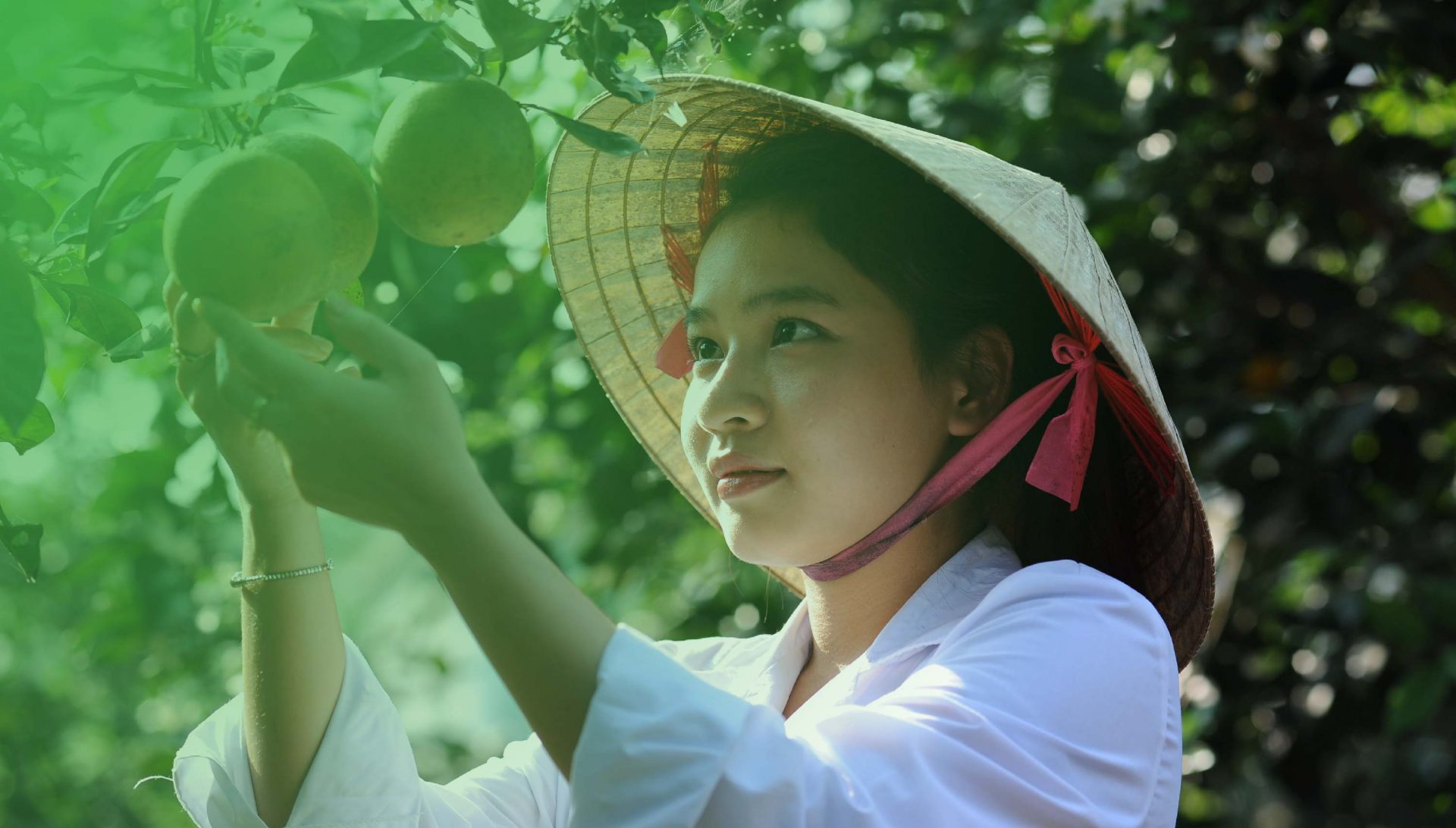 Lasuco Group - MKA Brand Strategy Agency