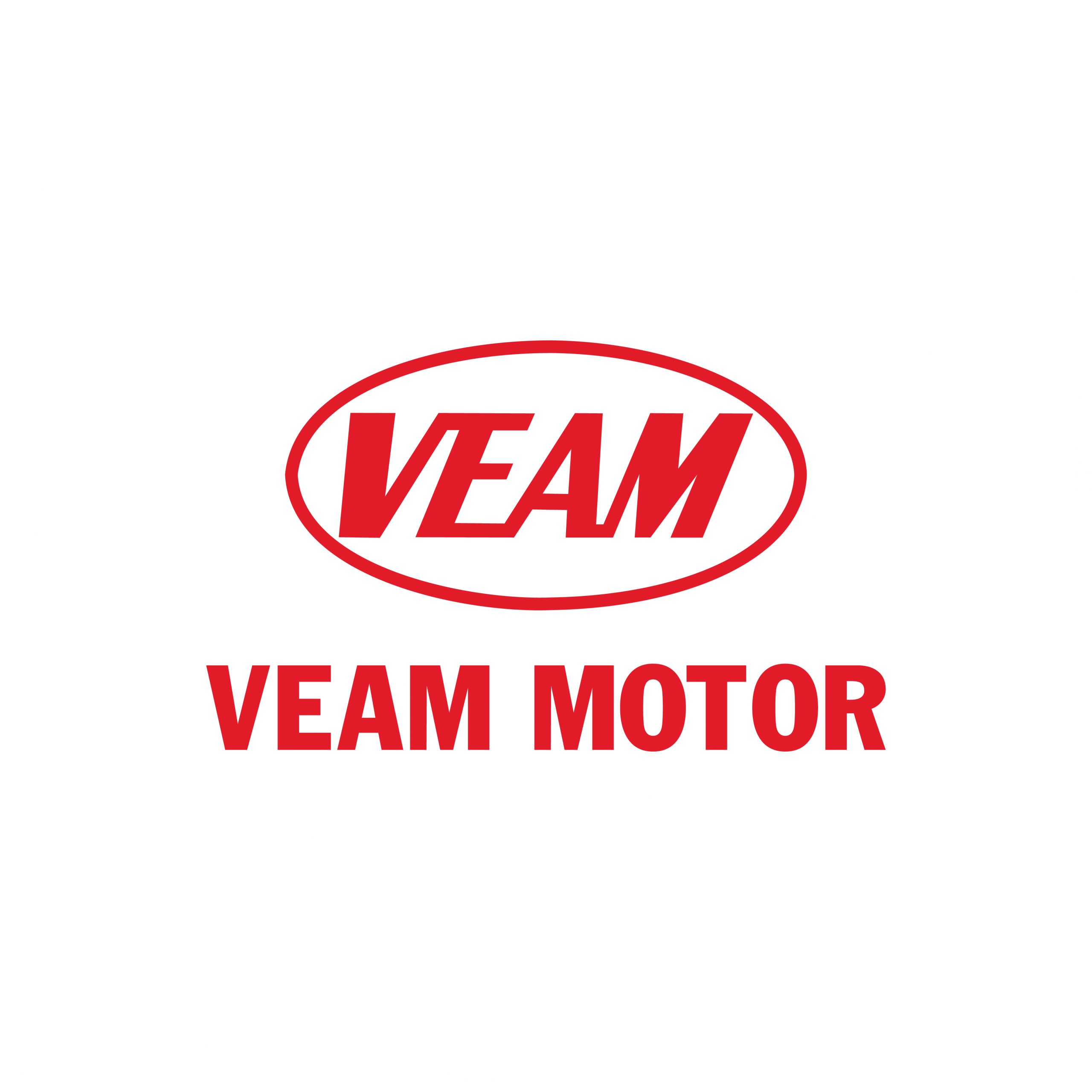 VEAM MOTOR - MKA Brand Strategy Agency